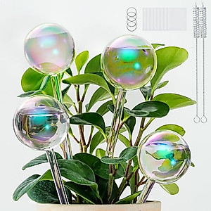 LEDERA Plant Watering Globes, Clear Glass Rainbow Self Watering Spikes, Automatic Plant Waterers Insert, Auto-Drippers Glass Ball for Plant Indoor Outdoor, Garden Gift, 4 Pack