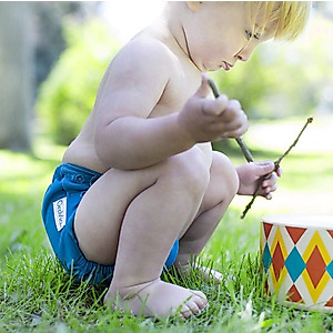 GroVia Reusable Hybrid Baby Cloth Diaper Snap Shell (Waverly), One Size