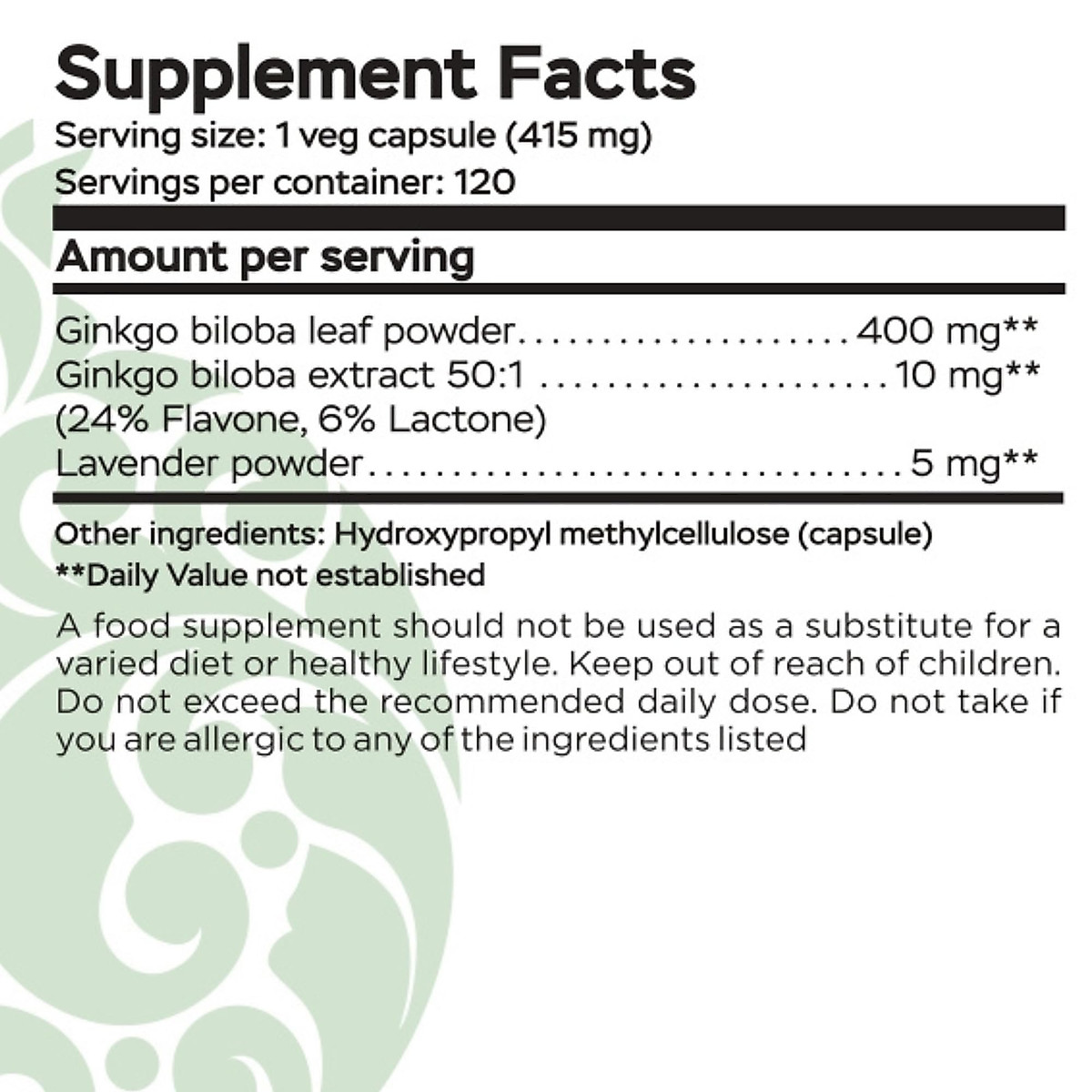 RaDoTech Ginkgo Biloba Support Brain Function, Supplements for Memory and Focus, Natural Antioxidant-Rich, Promotes Overall Health, 120 Vegetarian Capsules, GMP