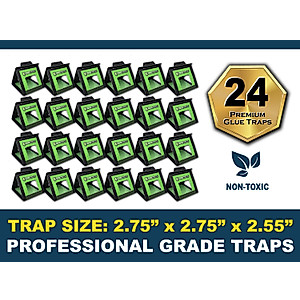 MaxGuard Mini Spider + Insect Traps (24 pcs Box Trap) | Non-Toxic Extra Sticky Glue Traps | Trap and Kill Hobo Spiders, Black Widow Spiders, Brown Recluse Spiders and Crawling Bugs |