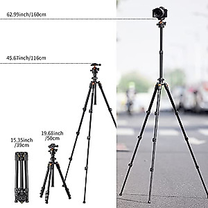 K&F Concept 64 inch/163cm Camera Tripod,Lightweight Aluminum Travel Outdoor Tripods with 360 Degree Ball Head Load Capacity 8kg/17.6lbs,Quick Release Plate, for DSLR Cameras K234A0+BH-28L
