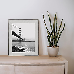 ABEL Stainless Steel Tabletop Photo Frame with Tempered Glass - Rectangular Shape, 4x6 Size, Nickel Plated Green, Includes Mat Board, Cardboard Backing and Backboard