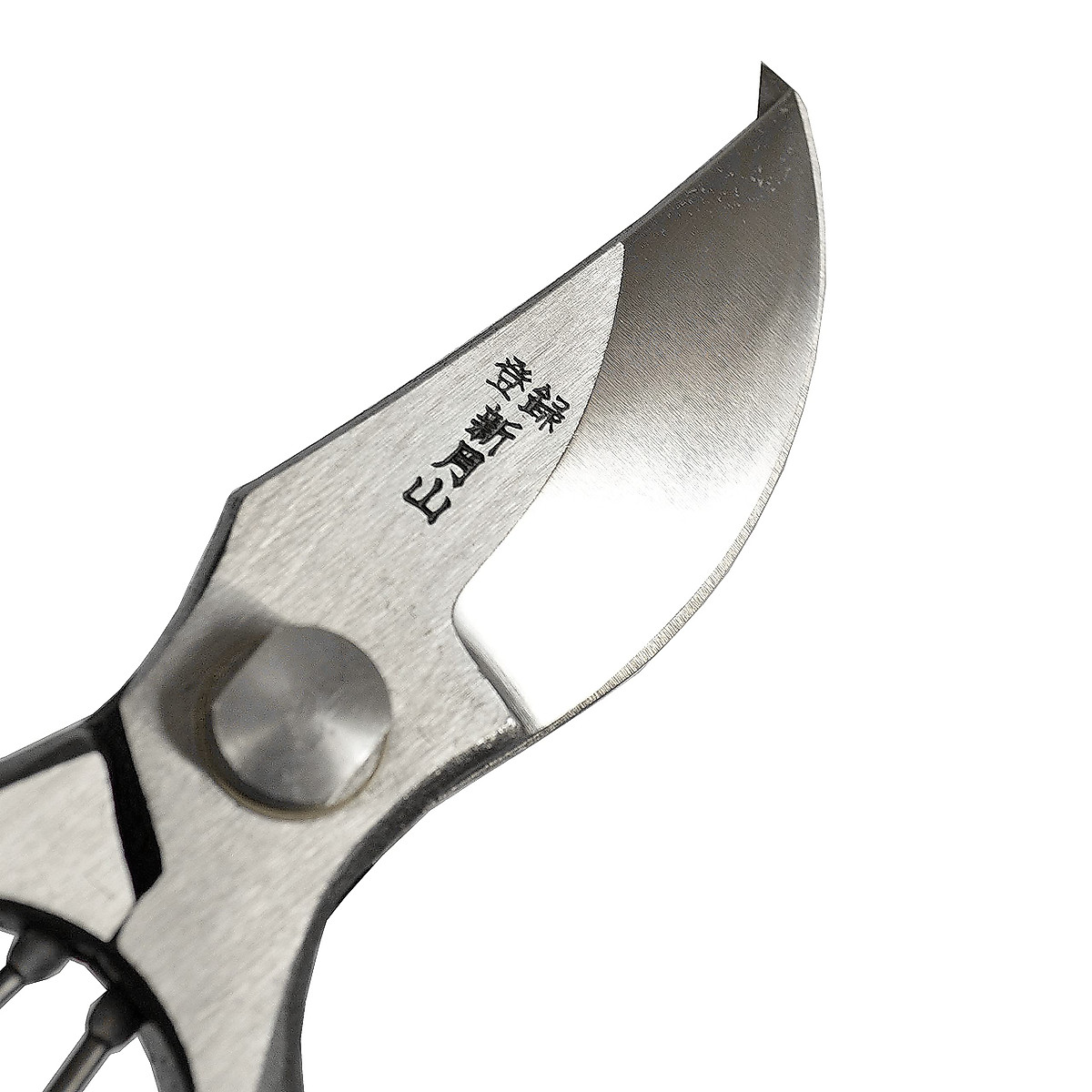 RANSHOU Japanese Pruning Shears for Gardening 8” Made in JAPAN, Professional Heavy Duty Bypass Pruners, Hand Forged Japanese Carbon Steel Blade, Spring Loaded Handle, Black