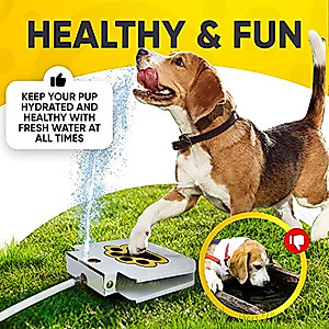 Dog Outdoor Dog Drinking Water Fountain Step On, Easy Paw Activated Drinking Pet Dispenser, Provides Fresh Water, Sturdy, Easy to Use by Trio Gato