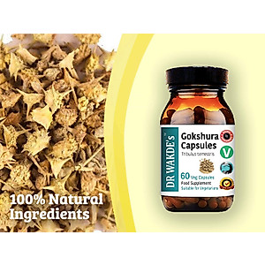 DR WAKDE'S Gokshura Capsules (Tribulus terrestris, 60 Veg Caps, Plant-Based Supplement, Ayurvedic Herb, All Natural, Vegan)