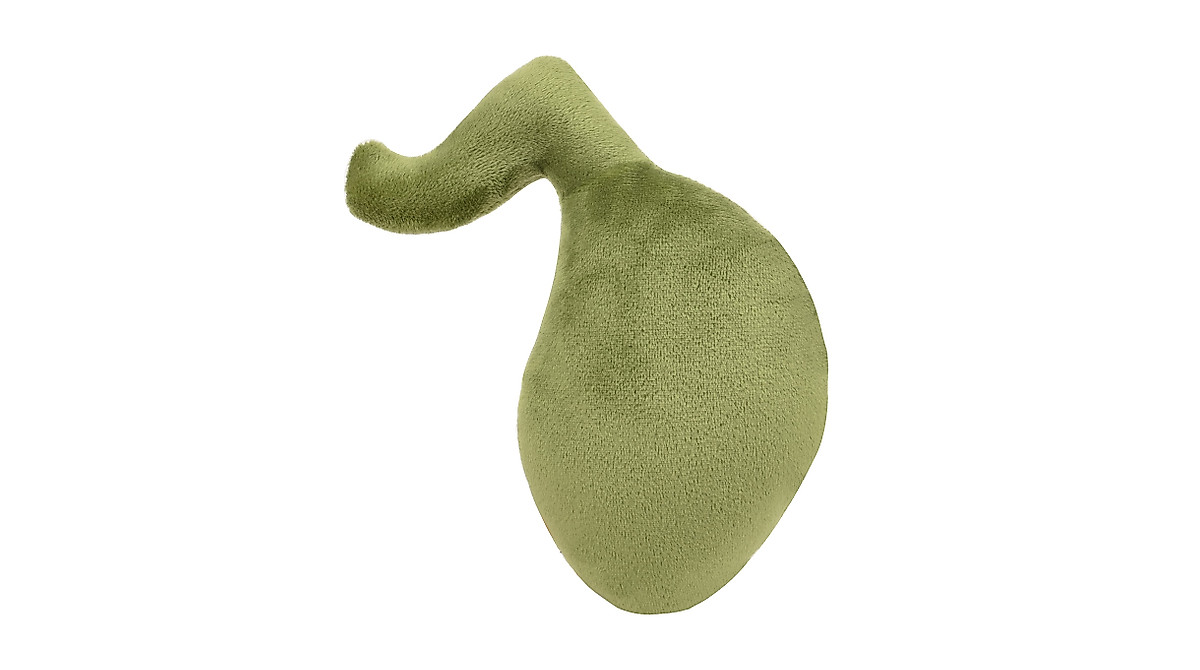 Cuddle with GIANTmicrobes Gallbladder Plush Toy