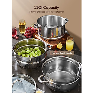 FOHERE 11Qt Steam Juicer Extractor for Canning, Juice Steamer Stainless Steel for Fruit & Vegetables with Glass Lid, Hose, Clamp, Loop Handles, Multipots Cookware for Making Juice, Jelly, Sauces