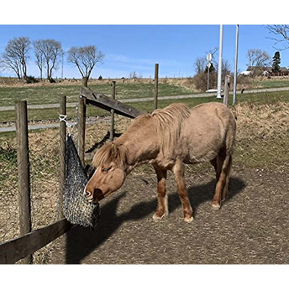 Ferstnor Premium Hay Net Slow Feeder for Horses 40 inches Long 2 inches Mesh Hole Heavy Duty Hanging Haylage Bag for Horses Complete with Steel Snap Hook