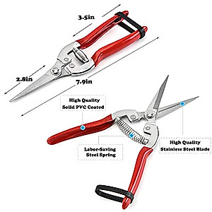 HyleJhJy Pruning Shears with Stainless SK5 Steel Blades+Straight Tip Gardening Shears Garden Shears Garden Clippers Florist Scissors Hand Pruners Garden Tools Gardening Tools Set,Red
