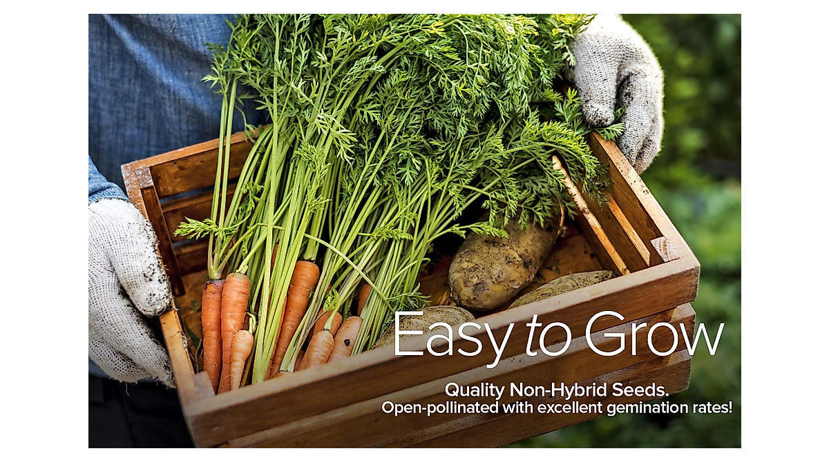 Winter Veggie Seeds - 8 Varieties by Gardeners Basics