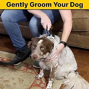 Shop-Vac 9190400 1.1/4-Inch Dog Grooming Tool,Black