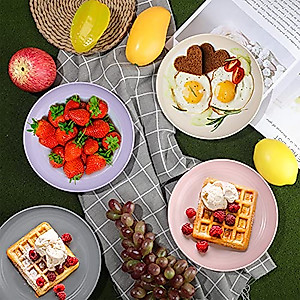 8 Pieces Wheat Straw Deep Dinner Plates Reusable Lightweight Straw Plates Dishwasher and Microwave Safe Dinner Plates Unbreakable Sturdy Dessert Plates for Toddlers Kids Adults (8 Inch)