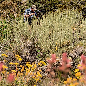 SLIK PRO 634CF-SVH Carbon Fiber Tripod with SVH-501 Compact Fluid Video Head for Mirrorless/DSLR Sony Nikon Canon Fuji Cameras and More - Black (611-899)