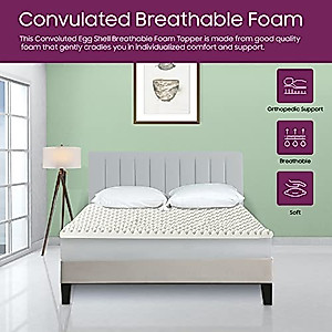 Mayton 1-Inch High Density Convoluted Egg Shell Breathable Foam Topper,Adds Comfort to Mattress, Queen Size