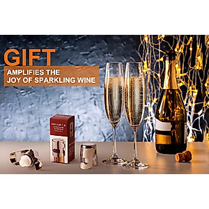 STEETURE 2PCS Champagne Stoppers Stainless Steel, Wine Stopper as Wine Gifts, Leak Proof Wine Bottle Saver Reusable Corks Keep Fresh, Wine Accessories for Prosecco Cava Sparkling Wine