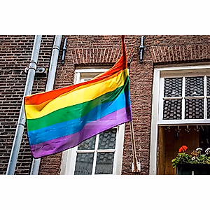 Rainbow Pride Flag 6 Stripes 3x5ft - Staont Flag Vivid Color and UV Fade Resistant - Canvas Header and Brass Grommets (Rainbow Flag 3x5ft (1PACK))