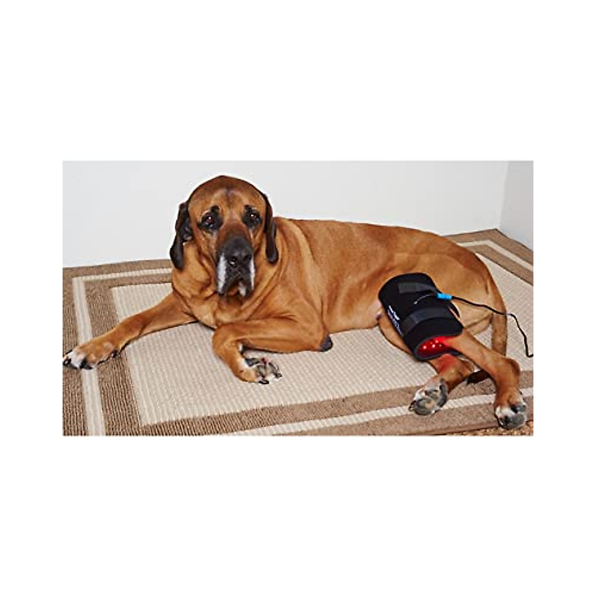 Gospel's Medium Light Therapy Pad with Case