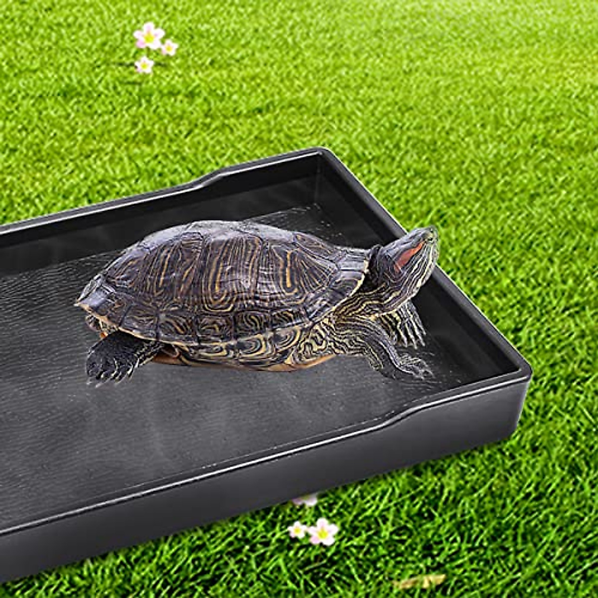 YOLUFER Reptile Food Water Bowl Plate Dish for Tortoise Crawl Pet Drinking and Eating Hallow Water Dish for Reptiles (Size3-L)