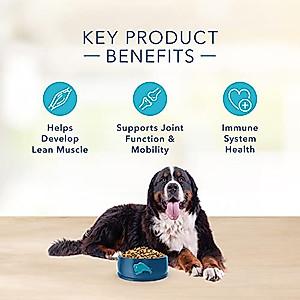 Blue Buffalo Basics Skin & Stomach Care, Grain Free Natural Adult Large Breed Dry Dog Food, Lamb & Potato 22-lb