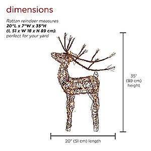 Alpine Corporation AUH164 Alpine Halogen Lights, Outdoor Plug-in Festive Holiday Décor for Yard and Garden Rattan Reindeer, Small, Brown