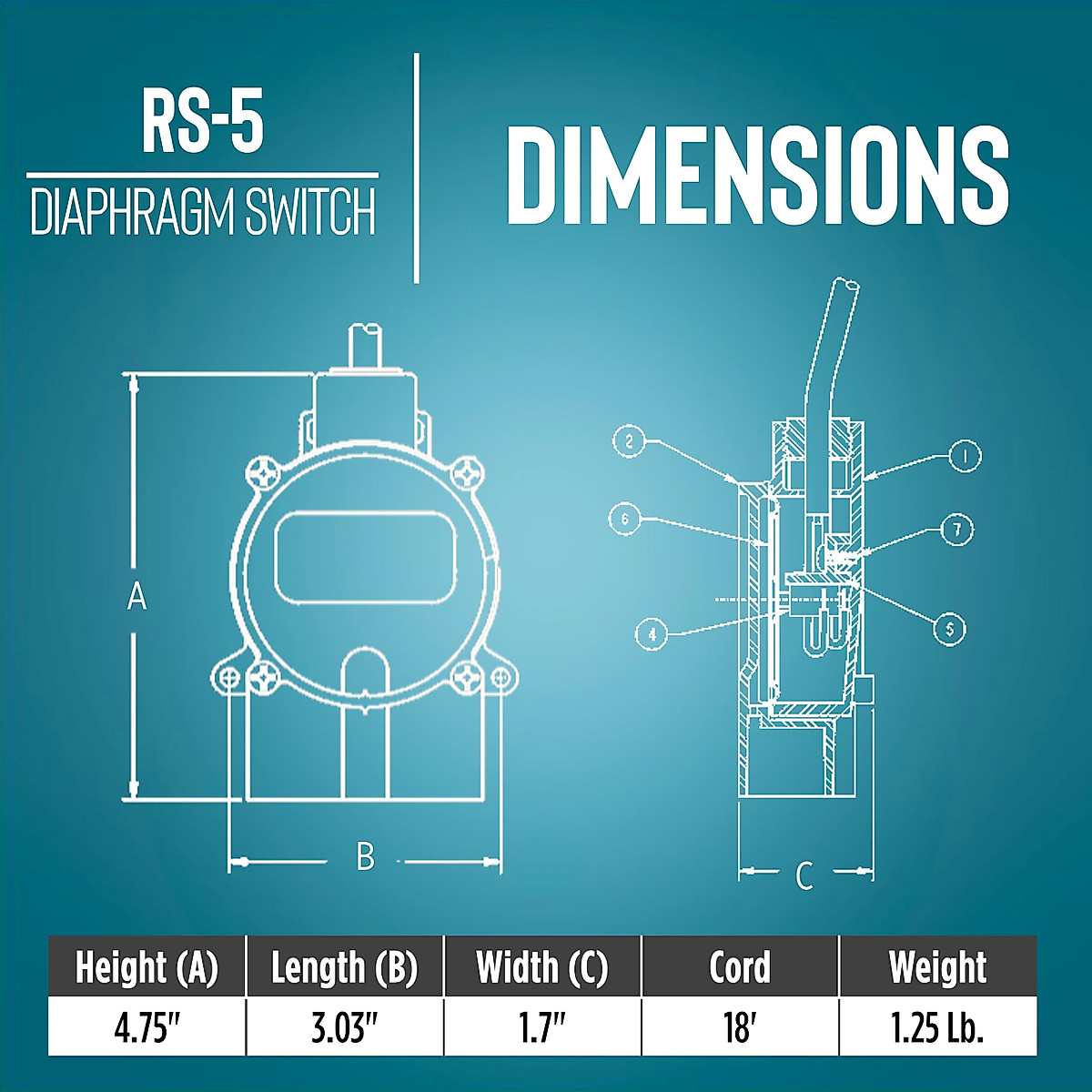 Little Giant RS-5 115-Volt Piggyback Diaphragm Pump-down Switch for Sump, Utility, Flood, Pond/Skimmer or Hydroponic Pumps, 18-Ft. Cord, Black, 599009