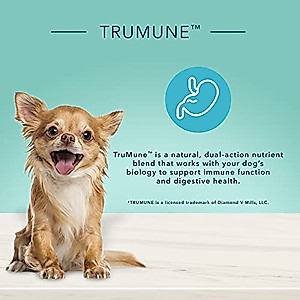 Blue Buffalo True Solutions Small & Mighty Natural Small Breed Adult Dry Dog Food, Chicken 4-lb