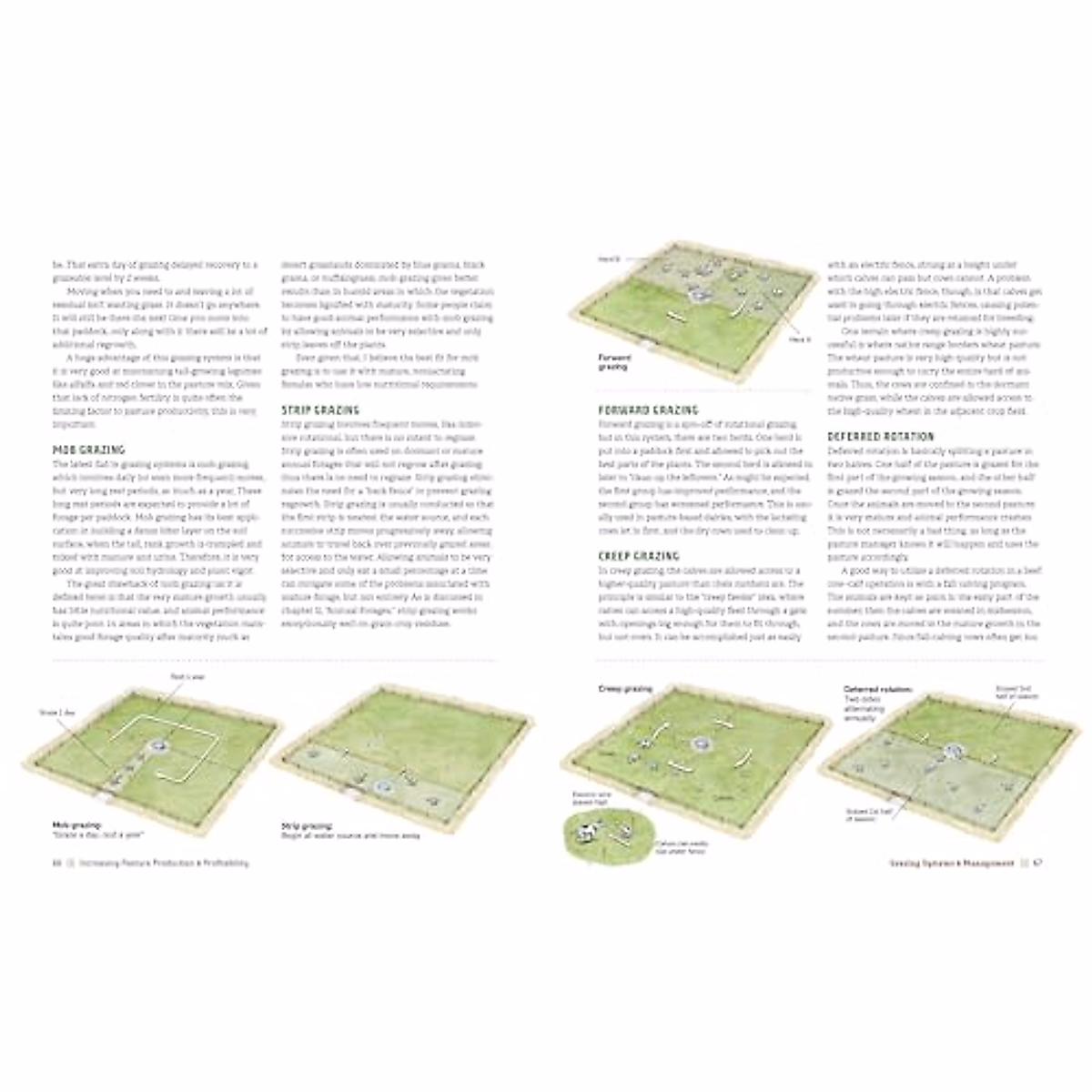 Managing Pasture: A Complete Guide to Building Healthy Pasture for Grass-Based Meat & Dairy Animals