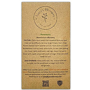 Gaea's Blessing Seeds - Rosemary Seeds - Heirloom Non-GMO Seeds with Easy to Follow Instructions 97% Germination Rate (Single Pack)