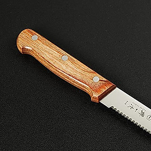 Bread knife 'SAKAI ICHIJI' 250mm (Japanese kitchen knife)