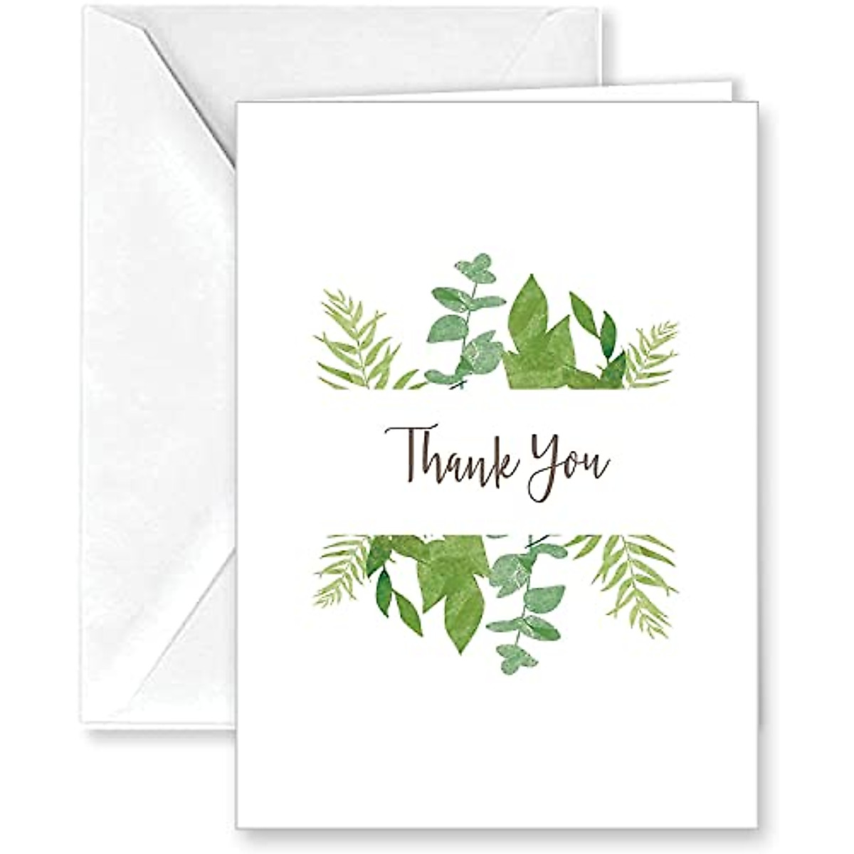 Paper Frenzy Elegant Ferns Thank You Note Cards and Envelopes - 25 pack