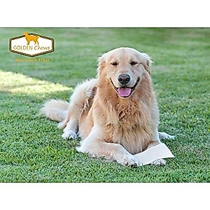 GOLDEN Chews Natural Rawhide Chips. Premium Long-Lasting Dog Treats with Thick Cut Beef Hides (2 Pounds)