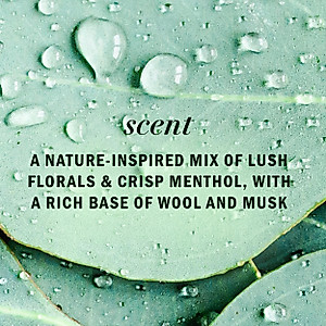 Herbal Essences Bio: Renew Potent Aloe + Eucalyptus Conditioner Scalp Balance, 13.5 Fl Oz, 5.523 Fl Oz