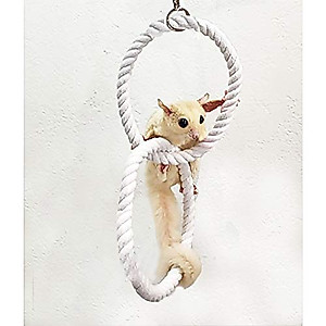 Double Hoop - Hanging Round Two-Level Rope Perch Swing Cage Accessory Toy - Sugar Gliders, Degus, Marmosets, Squirrels, Monkeys, Parrots, Birds, Rats & Other Small Pets