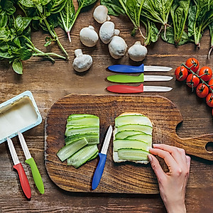 Paring Knife set of 6 PCS, 3.5 Inch Stainless Steel Fruit and Vegetable Knives,Comfortable Handle With Multi-Color Red/Green/Blue