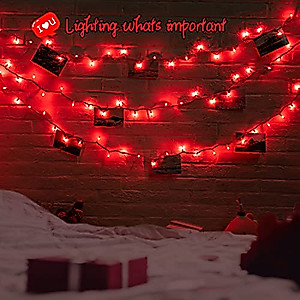 Christmas Red Mini String Lights, 100 Count 26.5 Feet Detachable Incandescent Bulb Waterproof Red Fairy Lights Plug in for Indoor Outdoor Party Patio Valentine's Day Decoration, White Wire