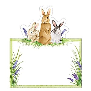 Caspari Bunnies and Daffodils Die-Cut Place Cards, 40 Count