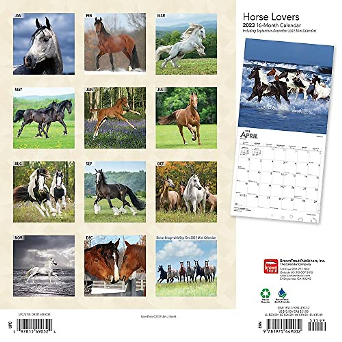 Horse Lovers | 2023 12 x 24 Inch Monthly Square Wall Calendar | Foil Stamped Cover | BrownTrout | Animals Equestrian