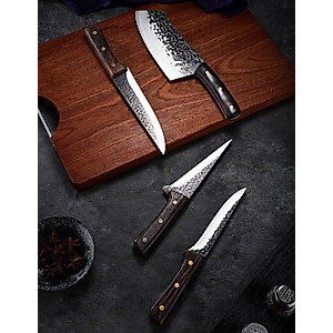 DRAGON RIOT Chef Butcher Knife Set for Meat Cutting with Roll Bag, 12 PCS Japanese Forged Chef Knives Set for Men and Women Gift for Men