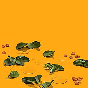 SheaMoisture Weightless Hydrating Detangler For Moisture Resistant, Curly, Coily Hair Low Porosity Lightweight Hair Detangler 8 oz