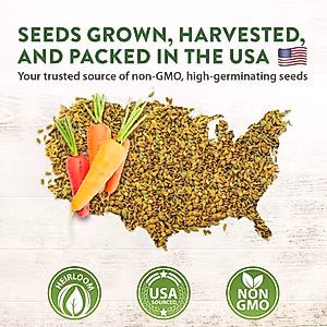 10 Heirloom Carrot Seeds - 2500+ Rainbow Carrot Seeds - High Germinating Vegetable Seeds Sourced in USA - Carrot Seeds for Planting Indoors or Outdoors Home Garden