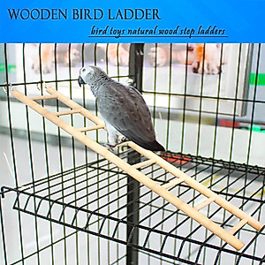 LWINGFLYER 2pcs Birdie Basics Wooden Ladder for Bird Cage Climbing Ladder Toy for Parakeets Parrots Cockatoo (6 Step & 8 Step)