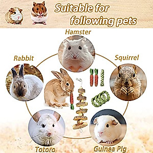 DJun Bunny Chew Toys for Teeth Include Natural Apple Branch String Timothy Hay Sticks Timothy Hay Ring Timothy Hay Carrot for Rabbit Rodents Guinea Pigs Chinchilla Hamster (Style 1)