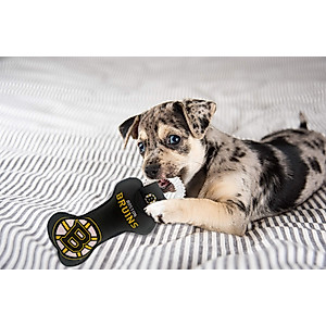 Pets First NHL Boston Bruins Dental Dog TUG Toy with Squeaker. Tough PET Toy for Healthy Fun, Teething & Cleaning Pet's Teeth & Gum., Team Color, one Size (BRU-3310)