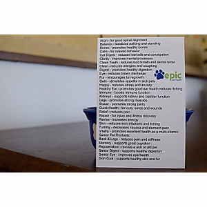 Epic Pet Health Skin - Relieves Itchy, Flaky Skin Natural Electrolyte Formula Unscented Safe for All Animals Can be Put on Body, Food and Water Works Quickly (Dropper 2 oz)