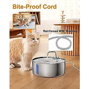 STN Cat Water Fountain 118oz/3.5L Stainless Steel Cat Fountain with Water Level Window,Ultra-Quiet and Durable Pump,3 Replacement Filters