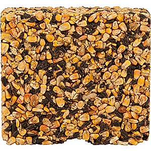 Kaytee Corn A Plenty Treat Seed Cake Food for Wild Squirrels, Chipmunks, Rabbits & Other Backyeard Wildlife, 2.5 Pounds
