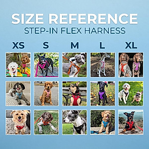 Best Pet Supplies Voyager Adjustable Dog Vest Harness Breathable No Pull Harness for Small, Medium, Large Dogs, Heavy Duty Harness for Walking, Jogging, Easy Step-In, Reflective Stripes - (Fuchsia), S