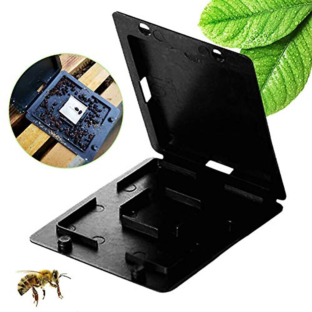 Minelife 10 Pack Beehive Beetle Trap, Beekeeping Tool Beekeeping Supplies(Black)