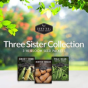 Survival Garden Seeds Three Sisters Collection Seed Vault - Non-GMO Heirloom Seeds for Planting Vegetables - Sweetcorn, Butternut Winter Squash & Pole Beans for Growing on Your Homestead