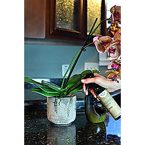 Southside Plants Weekly Orchid Food Fertilizing Spray - Ready to Use Mist Increase Humidity & Nutrients House Plants Farm - Safe Grow Formula for Orchid Leaves, Stems, Roots - 8oz